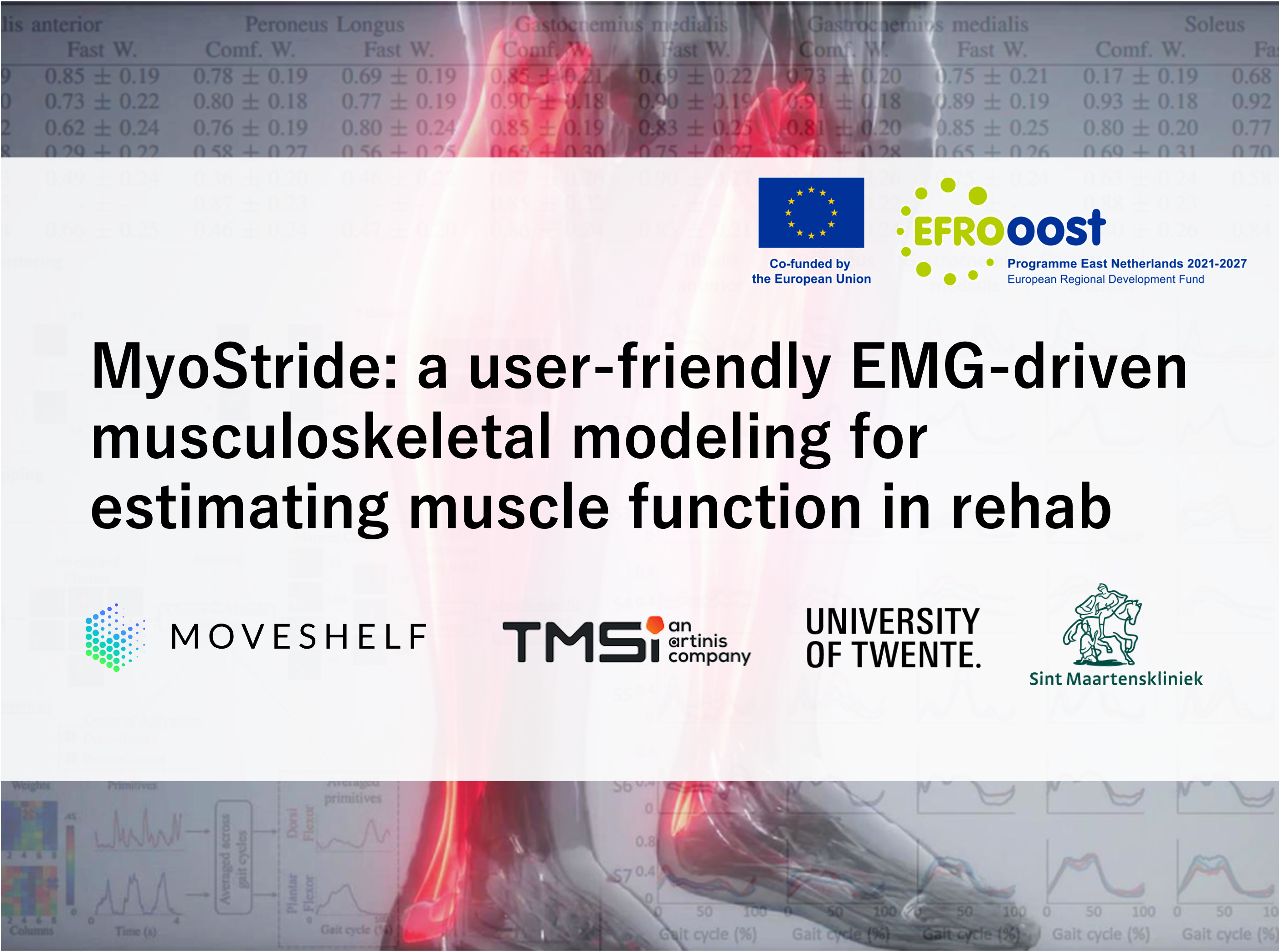 MyoStride: A user-friendly EMG-driven musculoskeletal modeling for ...