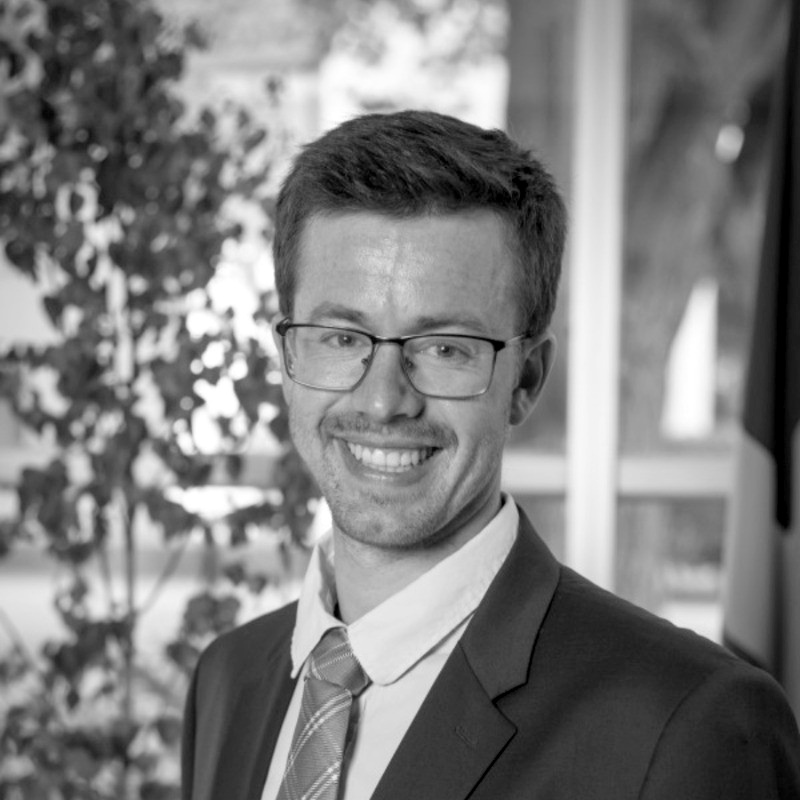 MyoStride: A user-friendly EMG-driven musculoskeletal modeling for ...